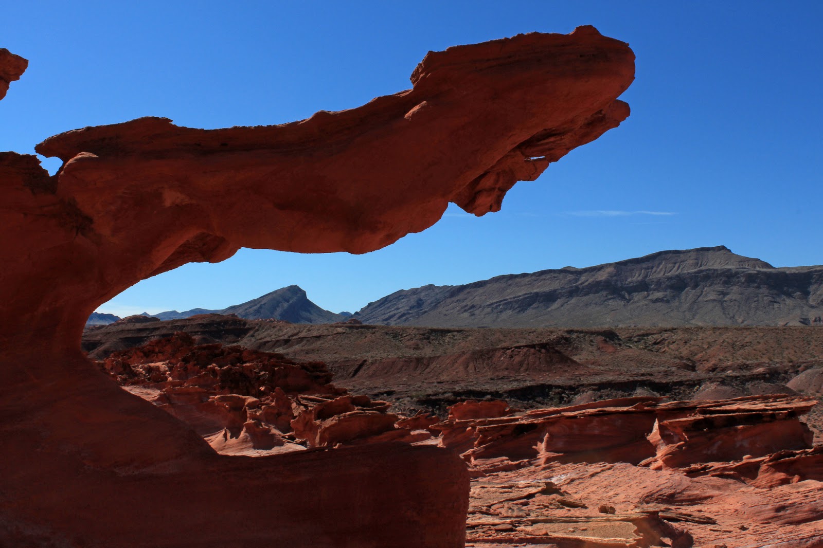 Around the Bend Friends ®: Gold Butte - Little Finland & The Subway - 2 ...