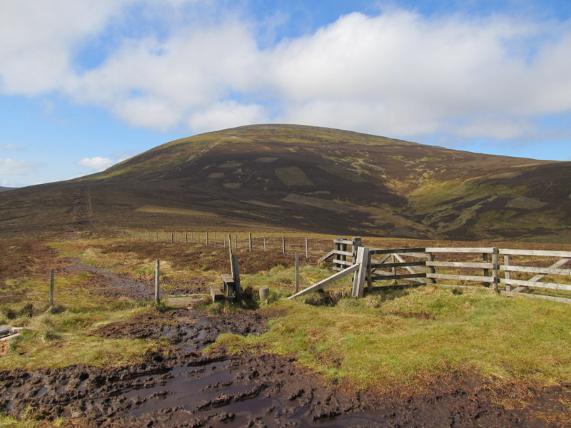 UK Wanderings: The Cheviot