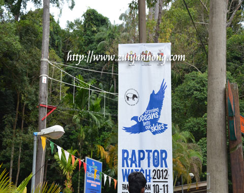 Sweet Memories Of ZuiYanHong: Malacca Tanjung Tuan Raptor Watch