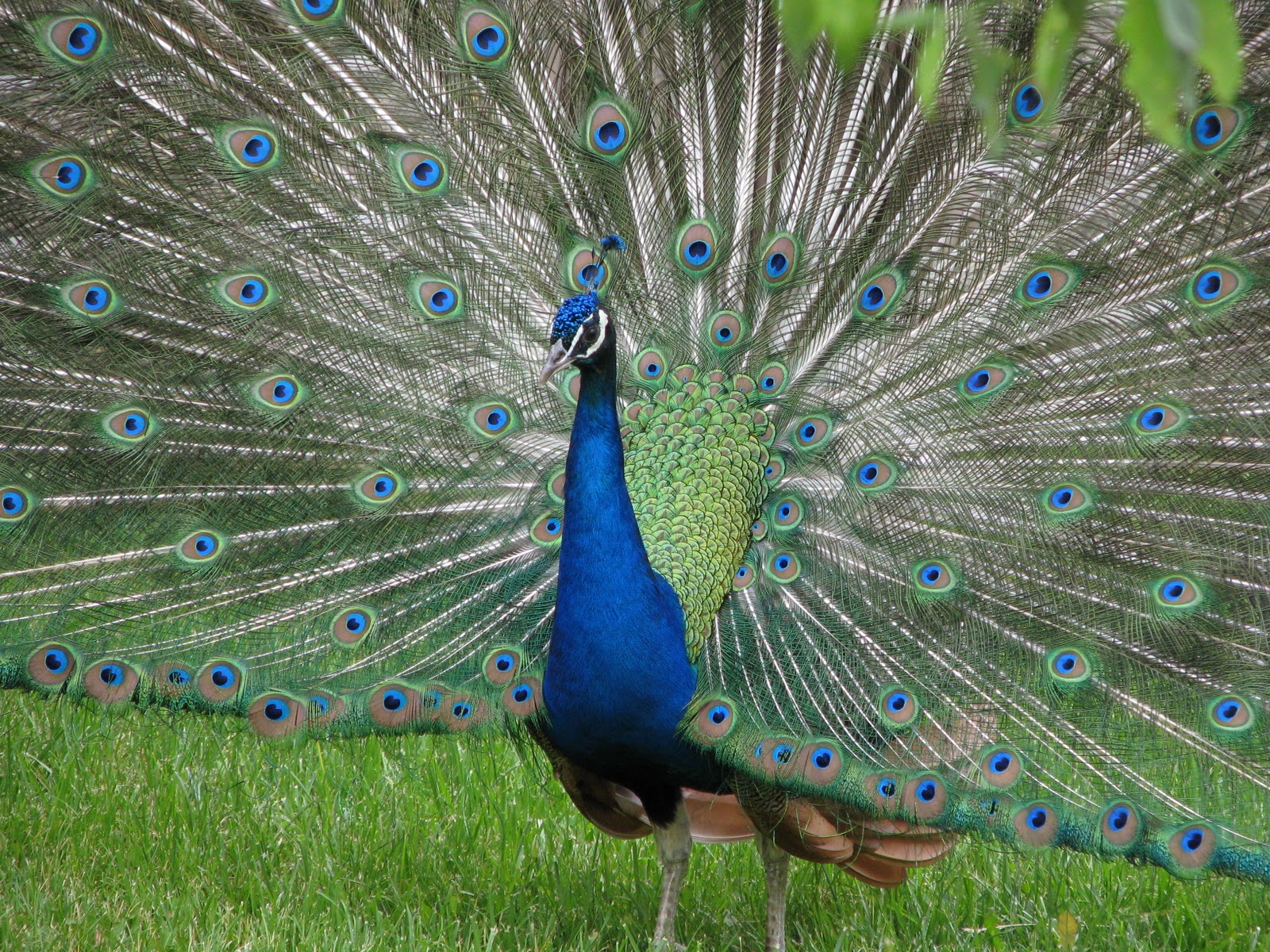 On the Bright Side: The Most Beautiful Things