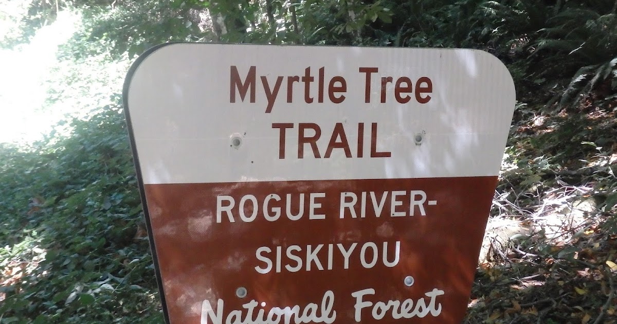 2 On the Road: Myrtle Tree Trail