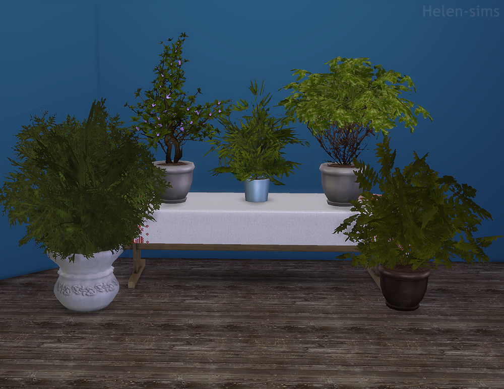 Helen-sims: TS4 Bushes set