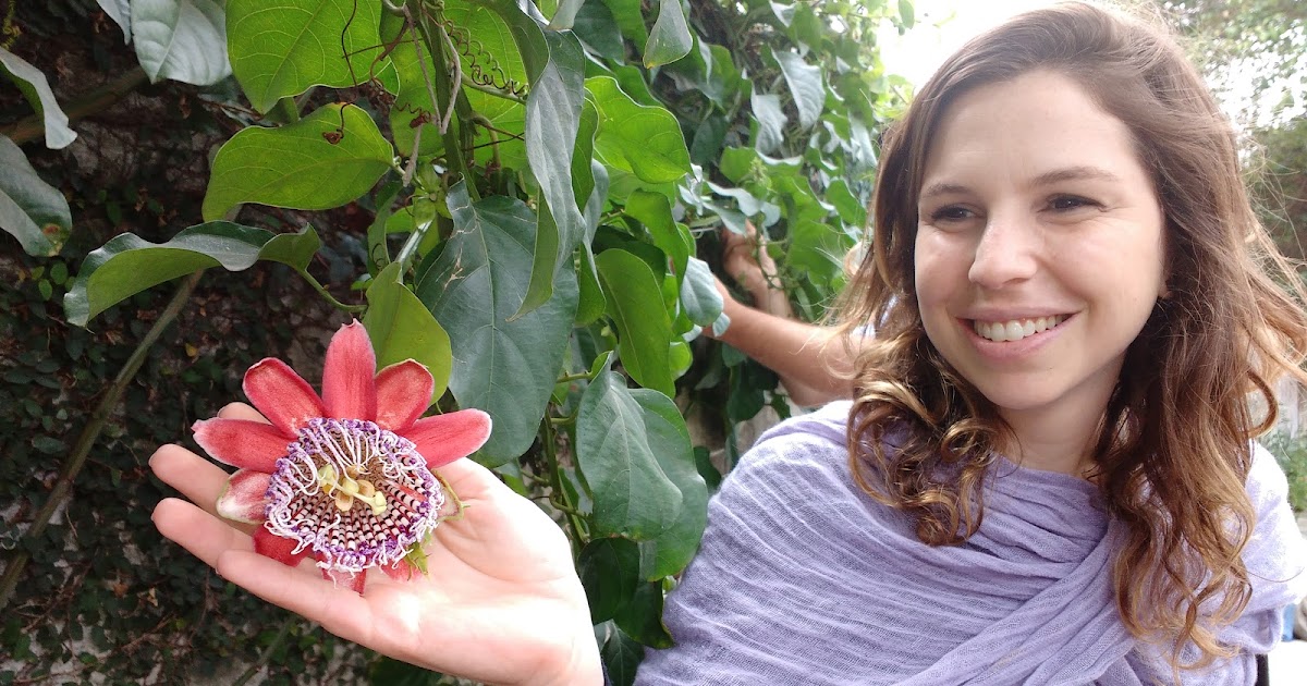 come-se: Pancnacity de 08 de agosto de 2016