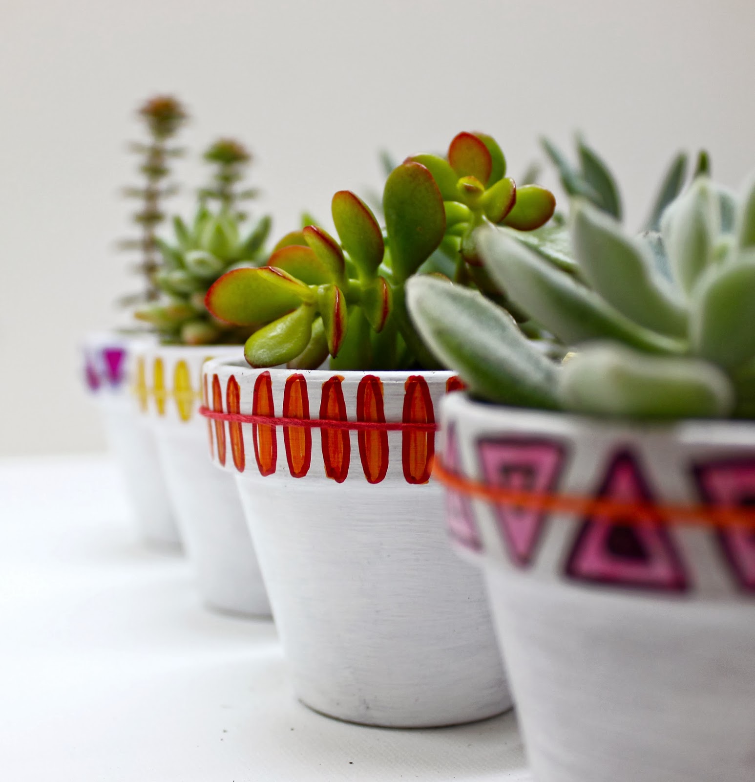 Courtney's Edible Garden: Small Gift or Favors Idea - Succulents