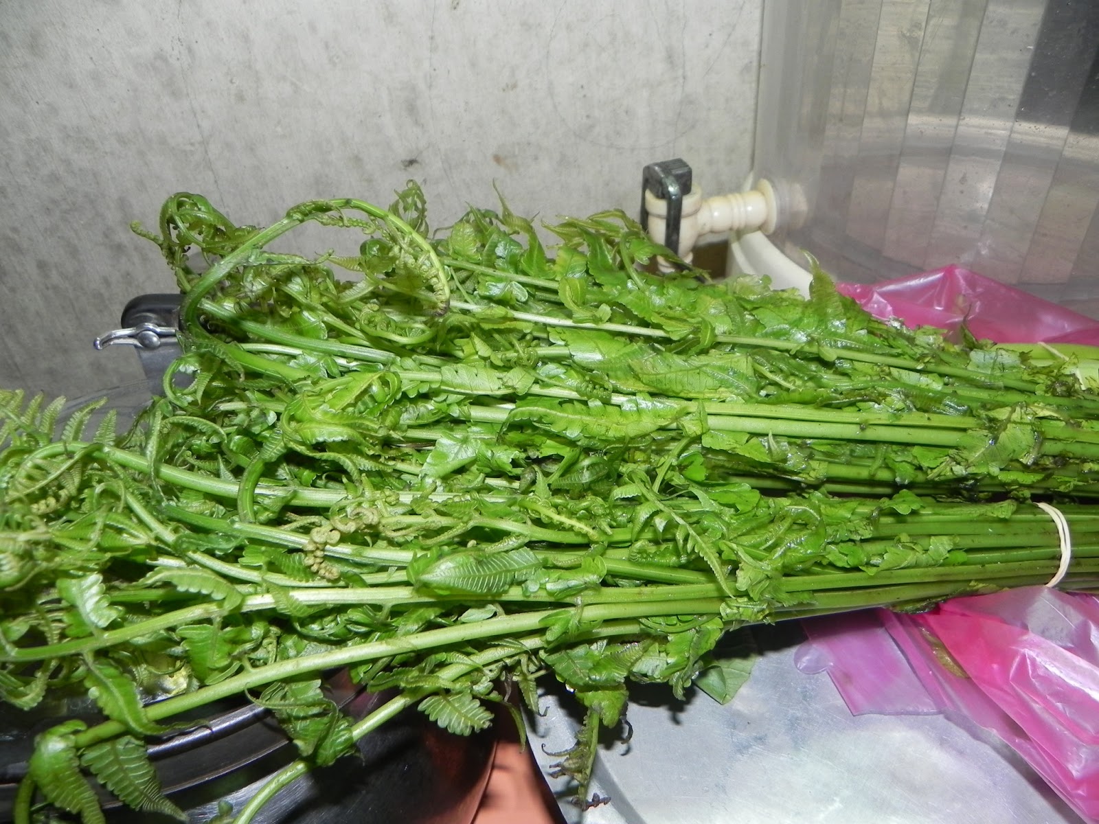 Diet Sihat: Jenis Sayuran