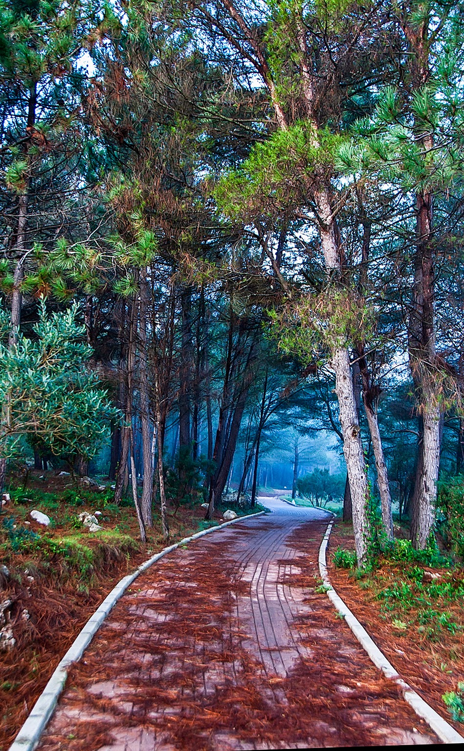 Universitat Popular de Gandia: LA DROVA