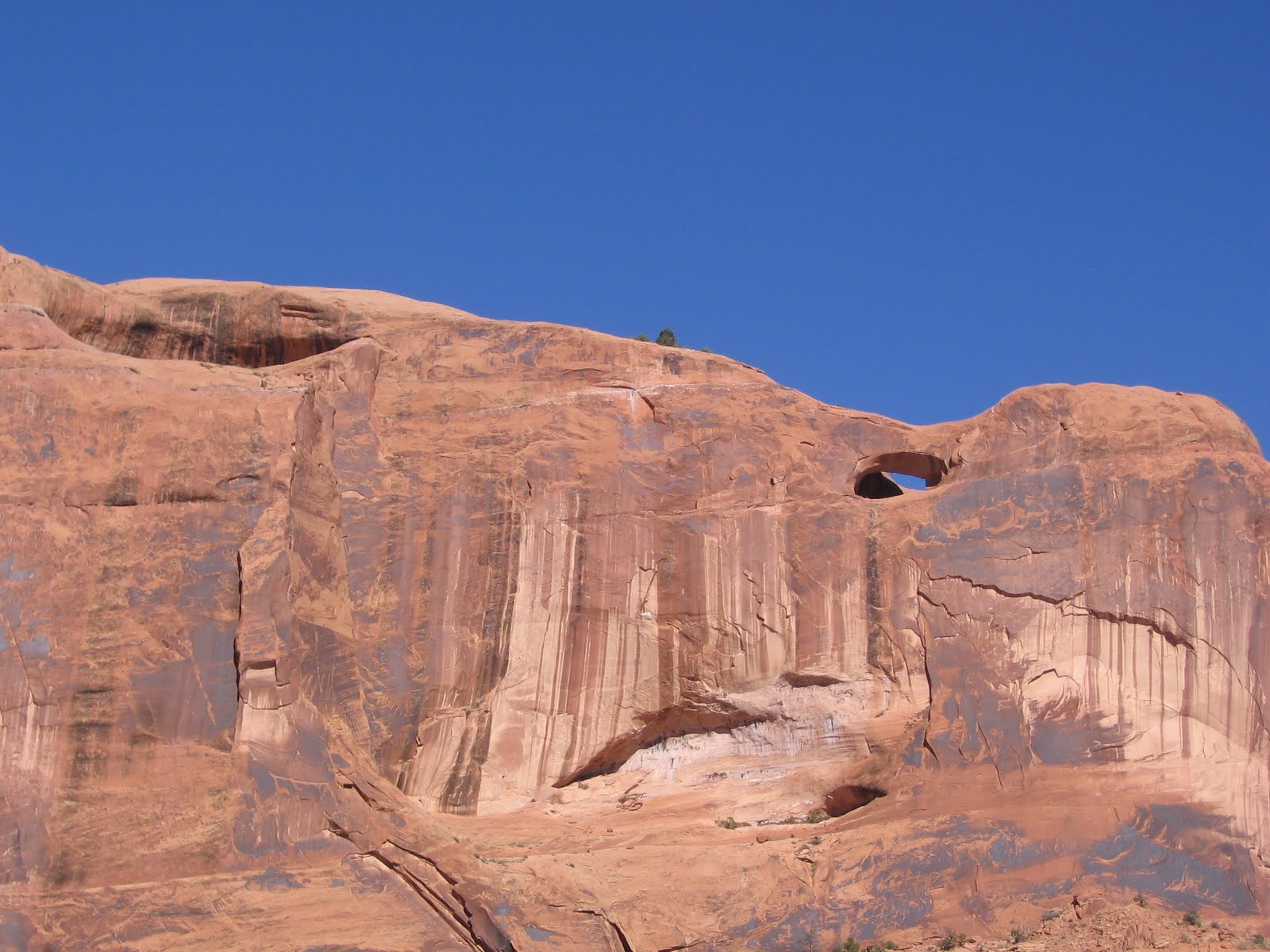 Four Corners Hikes-Arches National Park: Moab Rim Trail