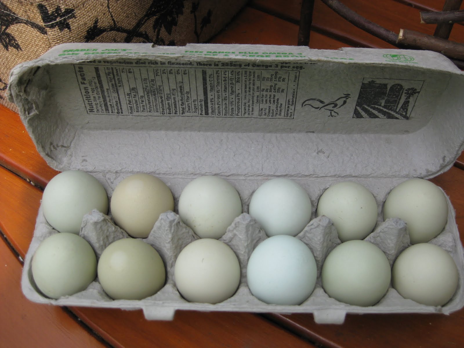 Always, Robins Egg Blue: MOTHER OF INVENTION. . . . TRUDI TEMPLE