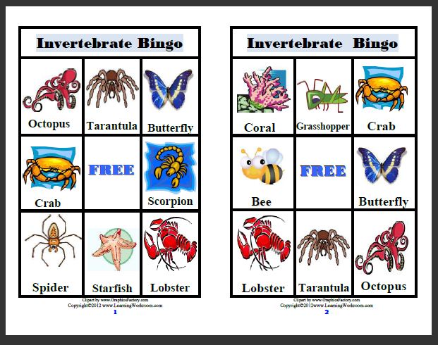Learning Ideas - Grades K-8: Invertebrates Video and Resources