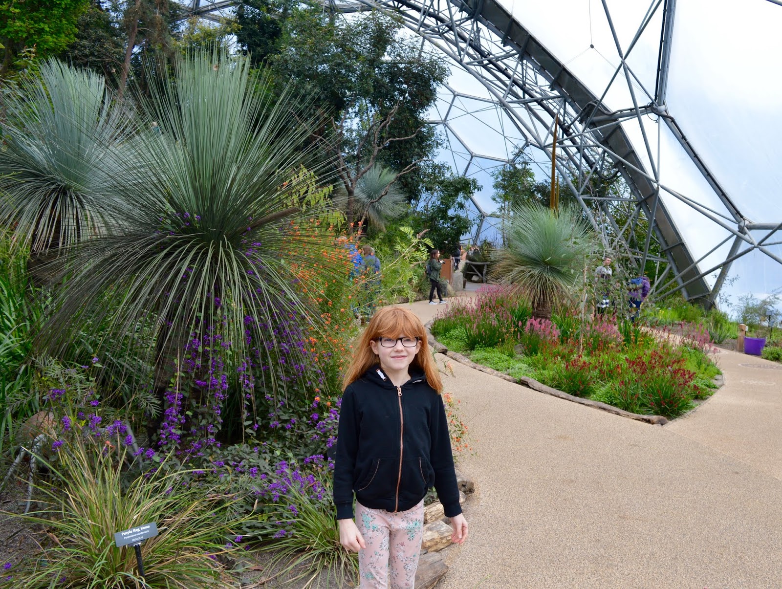 10 Reasons to Visit the Eden Project in Winter | North East Family Fun