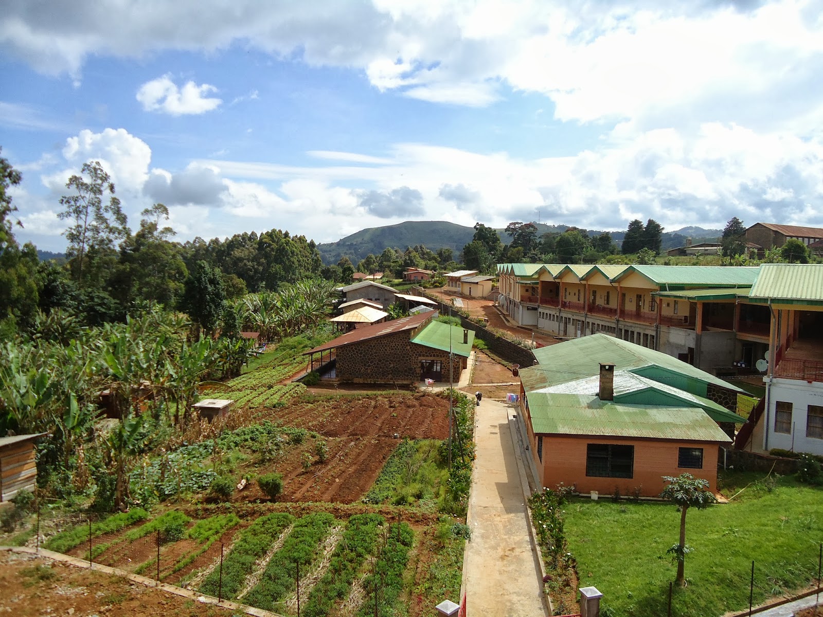 Brit en Soetkin in Kameroen: Veilig aangekomen in Shisong!