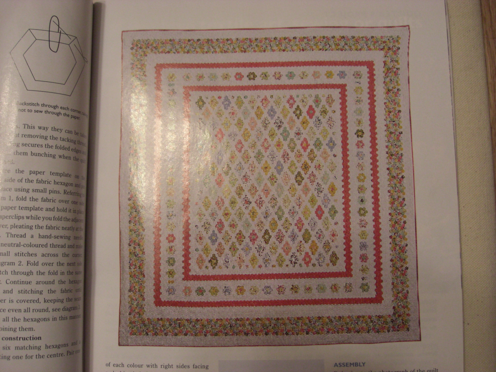 Kerri's Quilting: Insanity Quilt