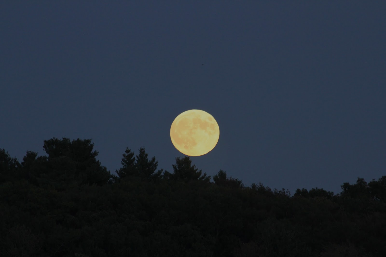 Interest Empire: Eclipse viewing