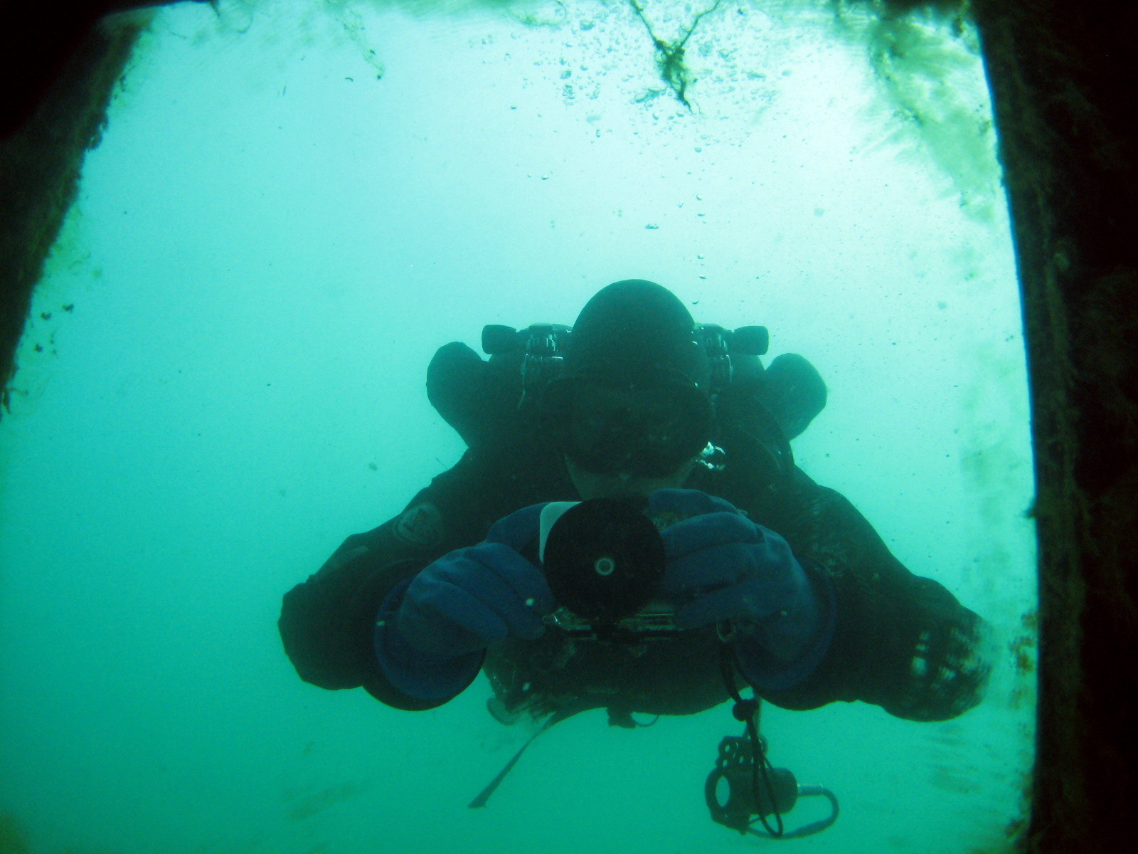 The Shekel - Coins, Law, and Commentary: Wednesday Funday - Dives 236 ...