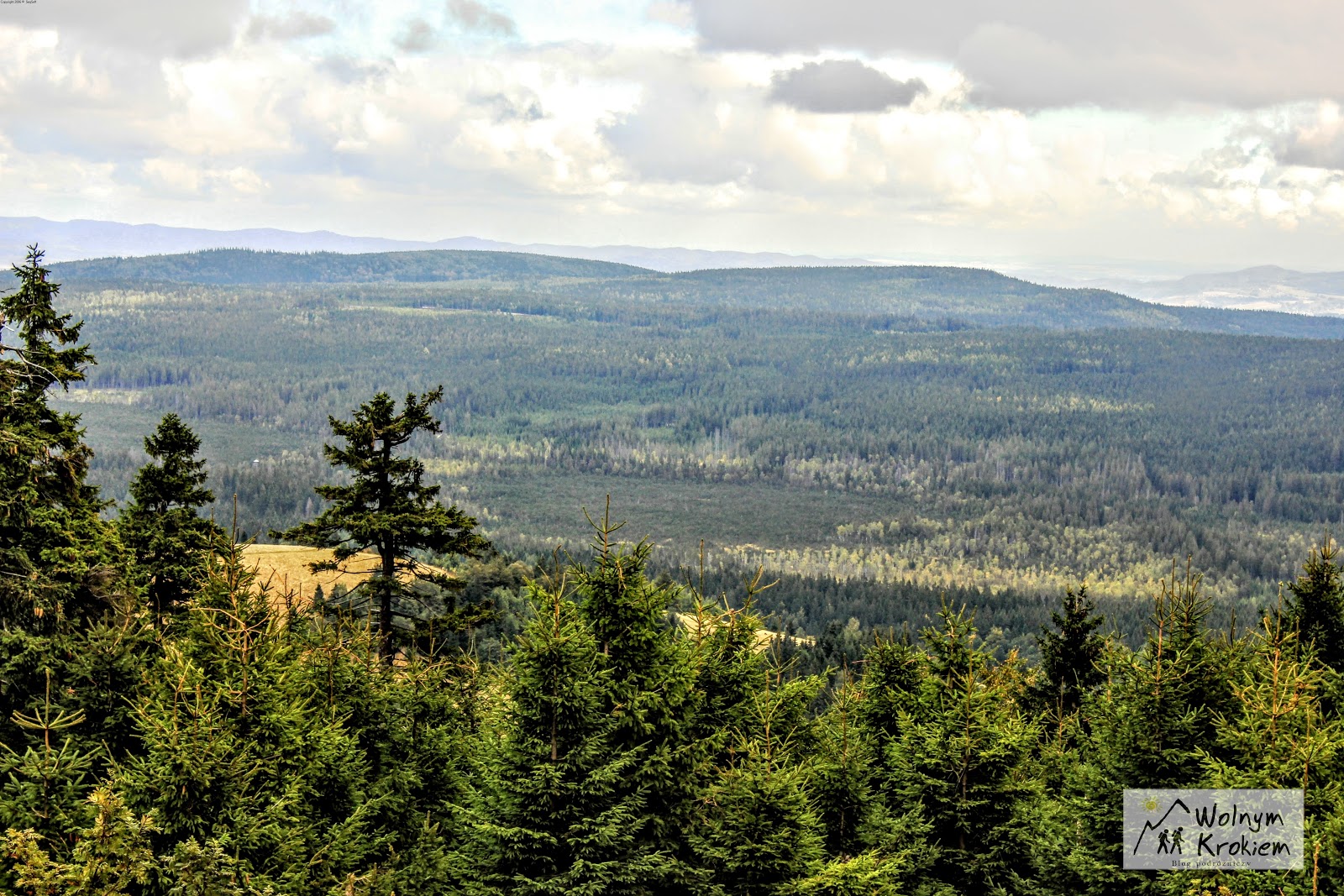 Velka Destna (Wielka Desztna)- Najwyższy Szczyt Gór Orlickich