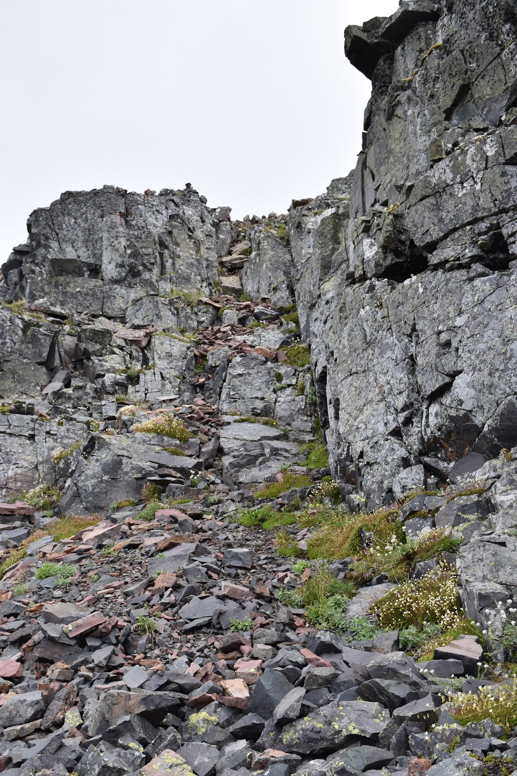 Archie Hikes: Mount Custer, Glacier National Park