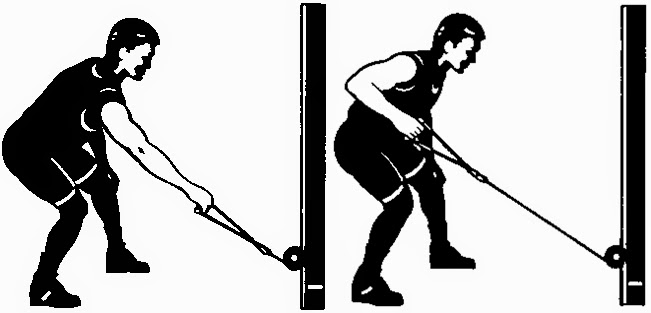 BACK AND BICEPS « BODY BUILDING