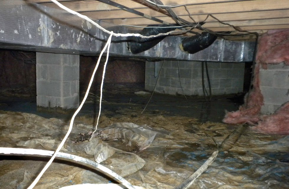 The Basement Doctor: ON THE JOB: July 2014