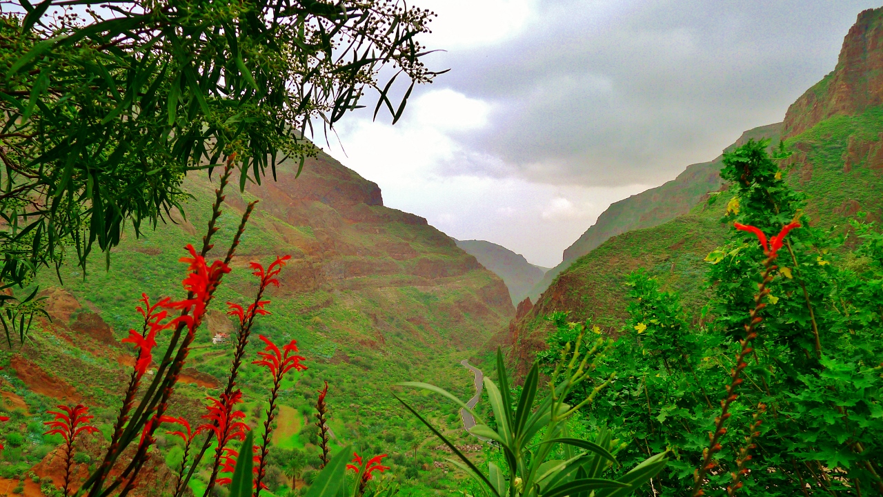 Jingle en voyage...: Ravin, Repus et Ravis ...