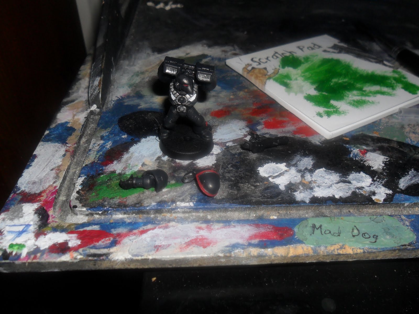 A Murder of Ravens: Anatomy of a Raven; Part 1