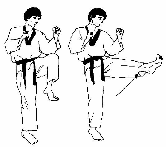 Associação Kenio Taekwondo Apucarana: Chutes: Ap Chagi (Front Kick)