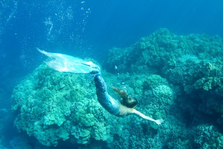 The Dirty Hippy: Free Diving With a Mermaid