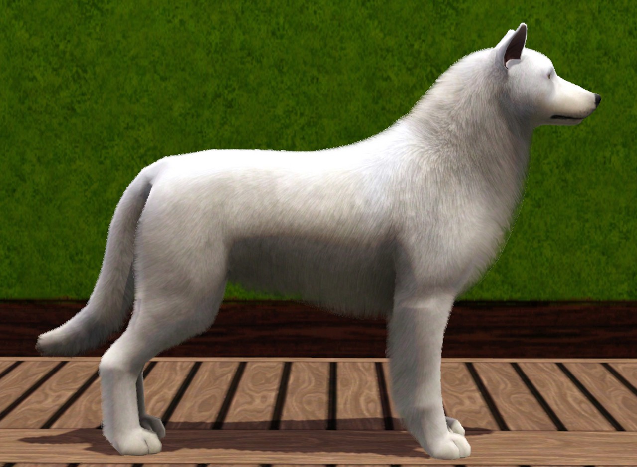 My Sims 3 Blog: Wolves for your Sims! by Lea.Sikora