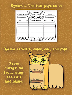 Loreen Leedy Books + More: Whooo Likes Owls? From Doodle to Designs
