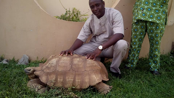 New Photos Of Alagba The Oldest Tortoise In The World Living At Soun Of ...