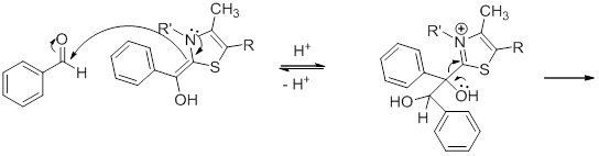 Organic Synthesis International: Dilantin, 5,5-Diphenylhydantoin