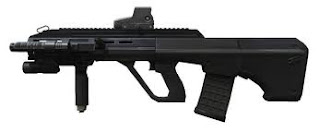 Title Senjata AUG A3 Point Blank | SnutzPark