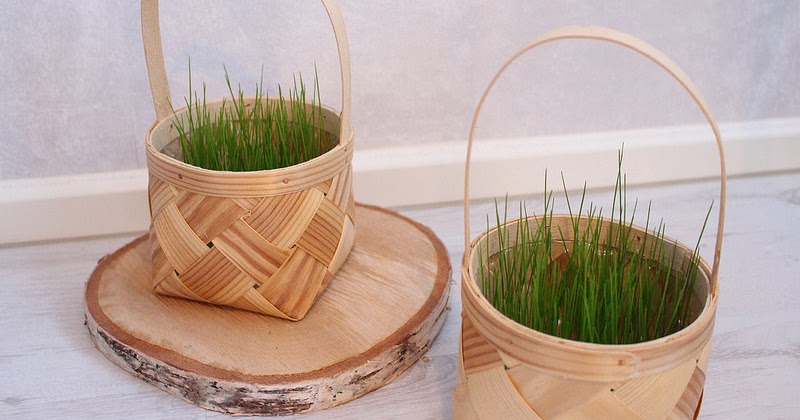 Koukuissa: Rairuoho, rajgräs, ryegrass