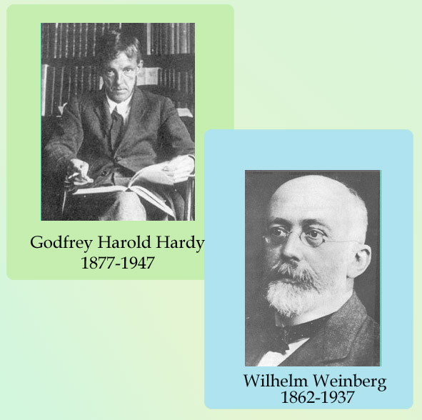 Appuntando chimica e biologia: L'EQUILIBRIO DI HARDY-WEINBERG