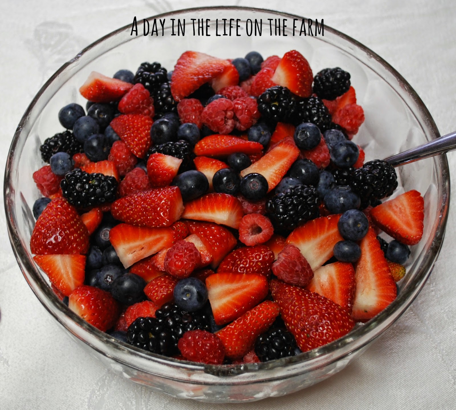 A Day in the Life on the Farm: A Double Celebration