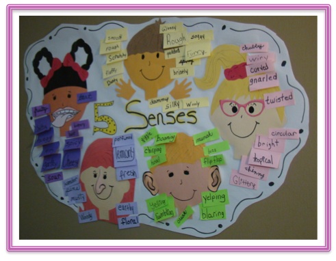 A Full Classroom: Using Our Senses