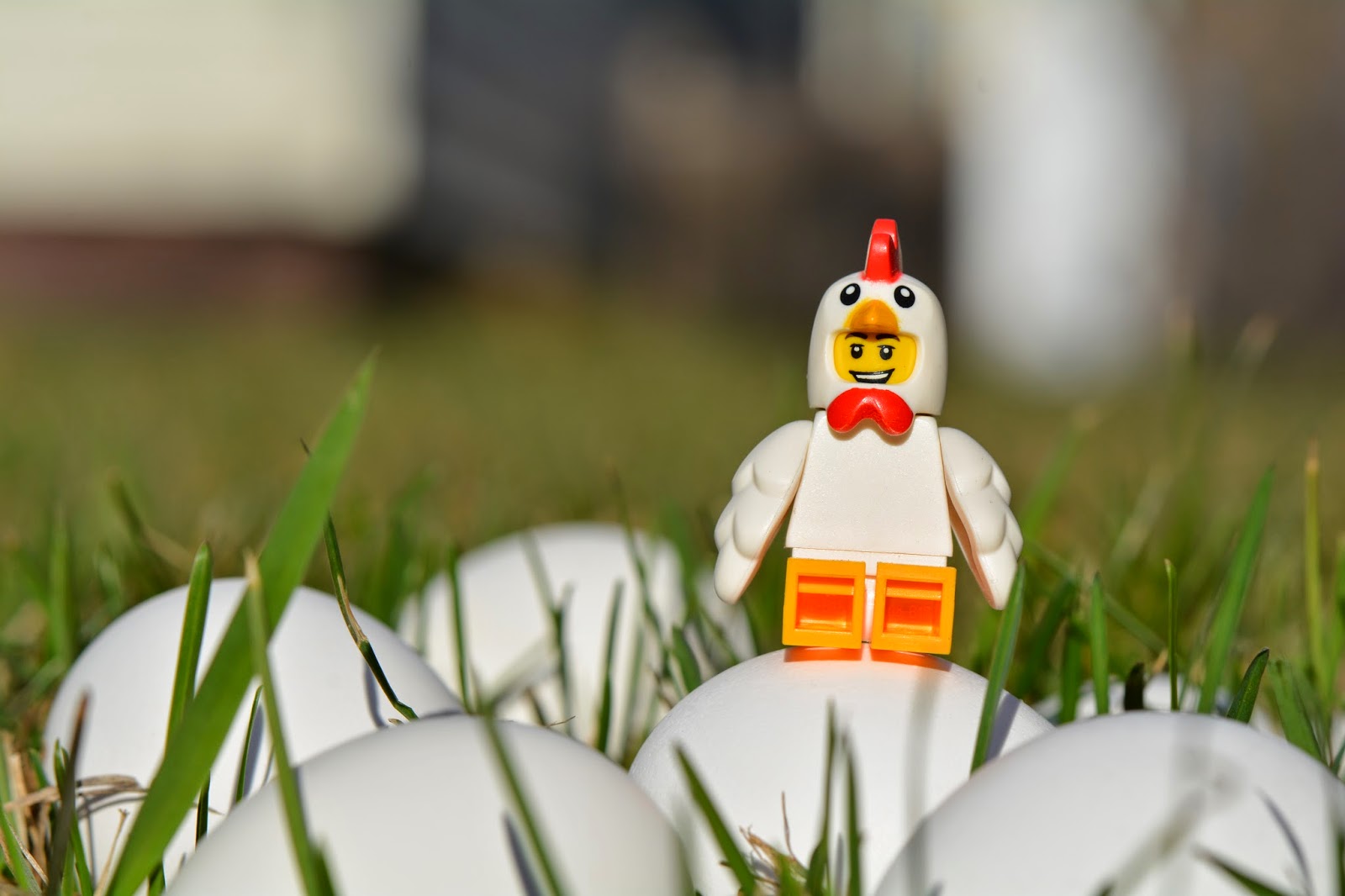 365 Vibrant Life Challenge