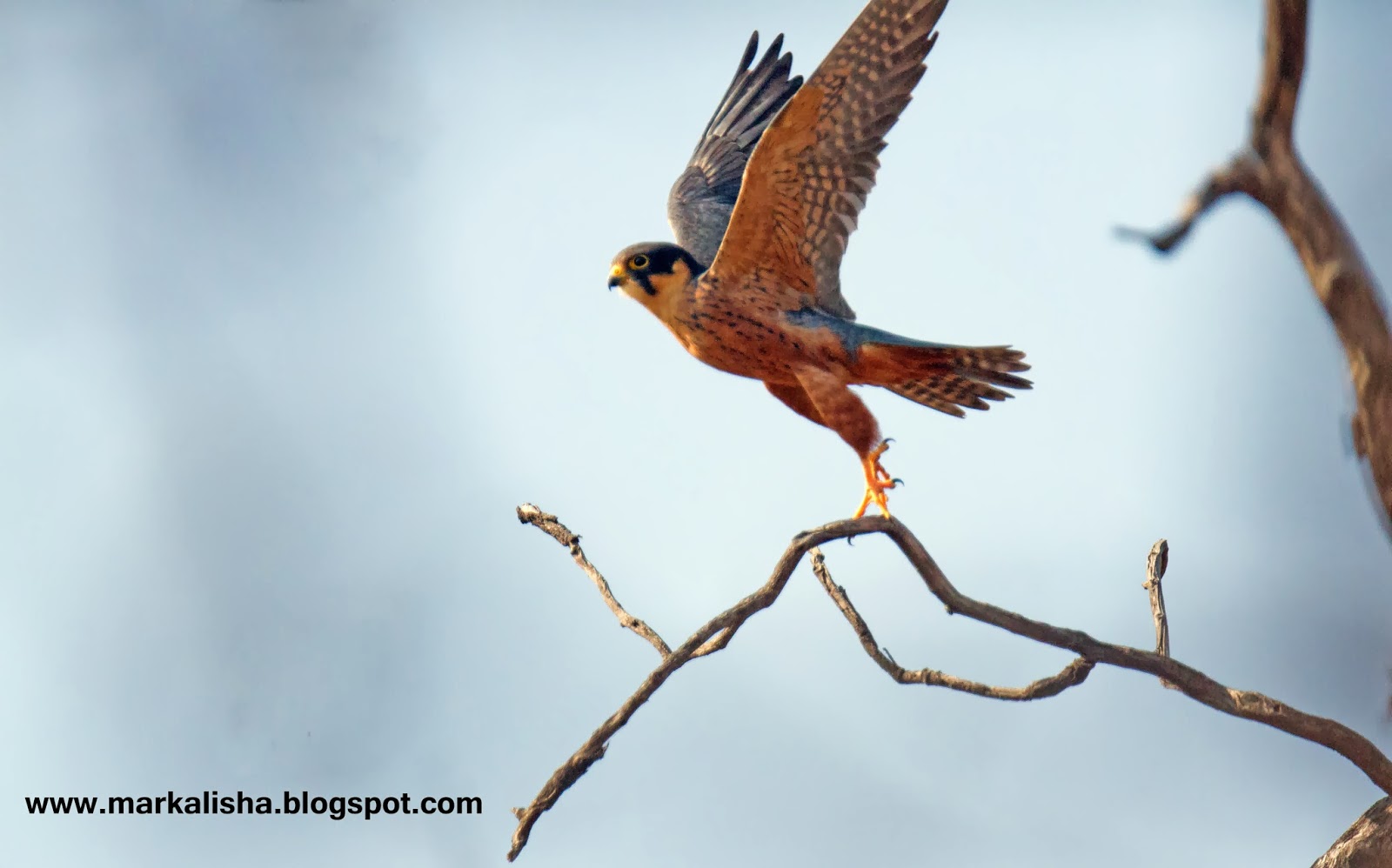 The '800 Challenge' - Southern Africa: September 2013