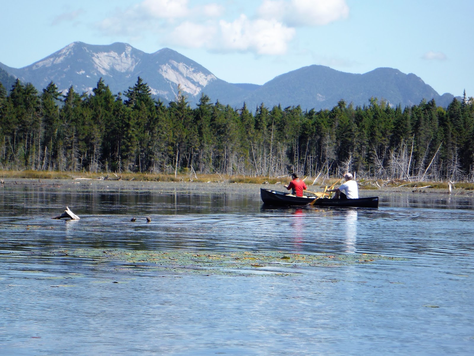 BOREAS PONDS in the Adirondack Park