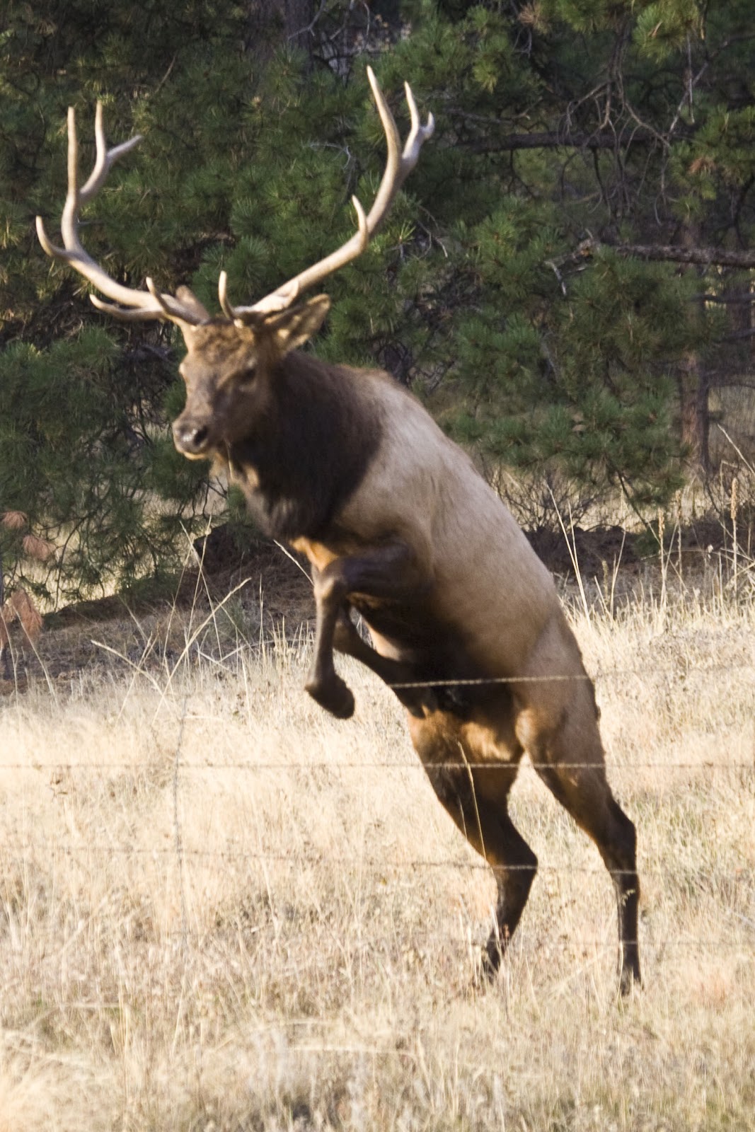 HomeMaking Beyond Maintenance: December 2012