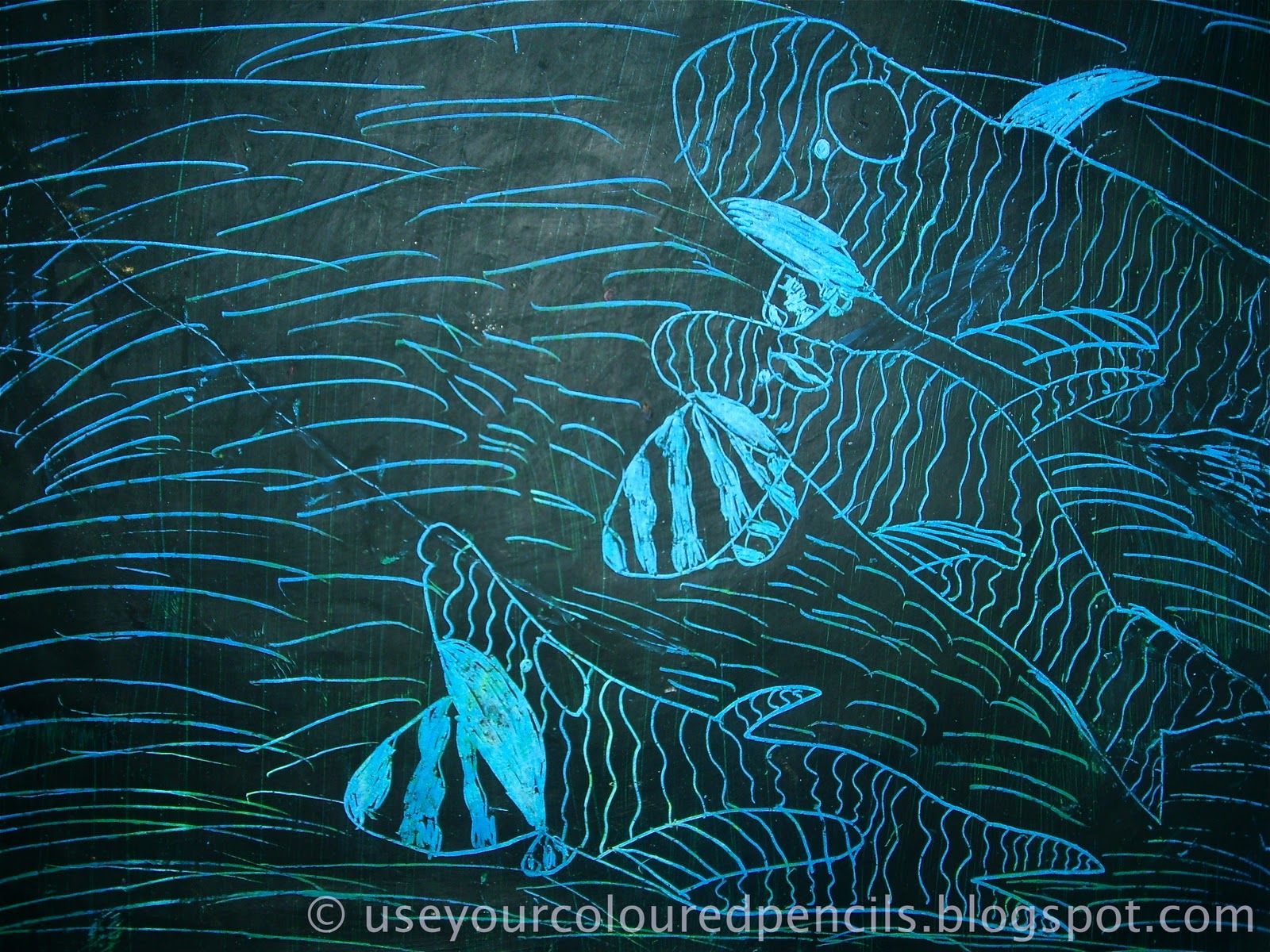 Use Your Coloured Pencils: Scratch Art Whales