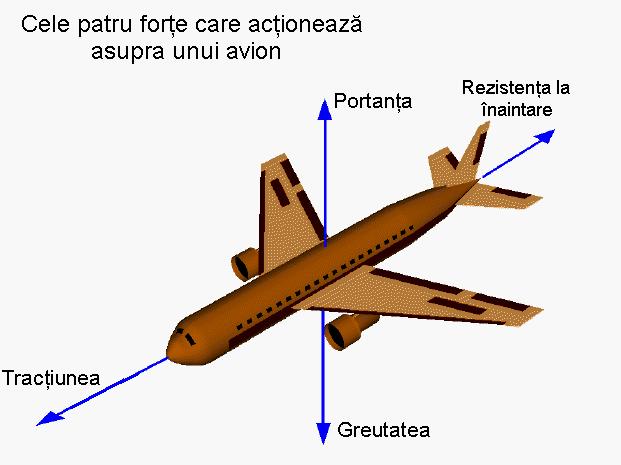 Carjan Andreea: The Rhythm of Physics: decembrie 2012