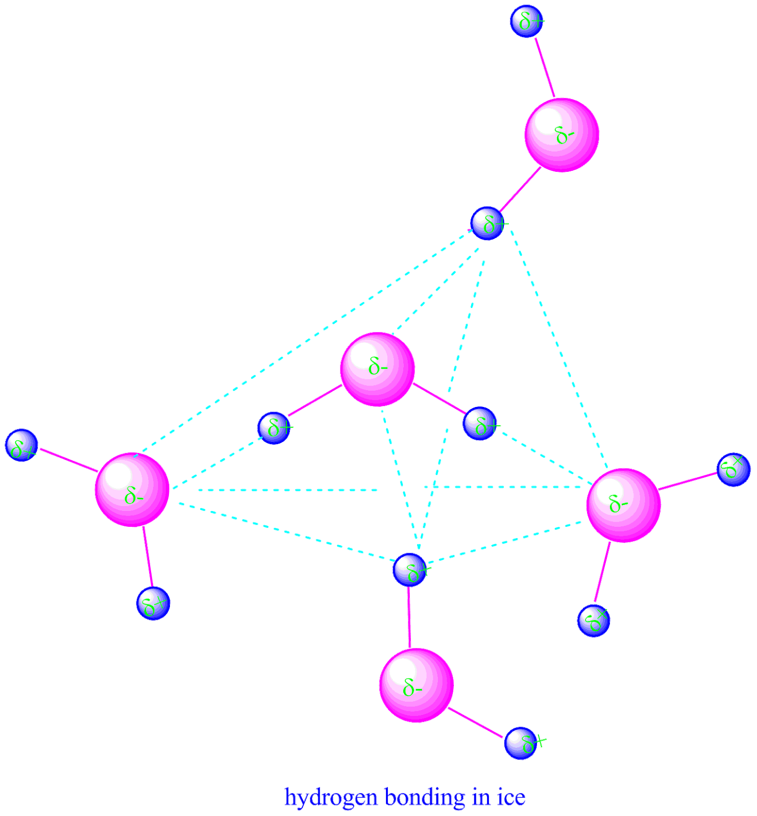 why volume of ice decrease on melting and ortho nitro phenol is more ...
