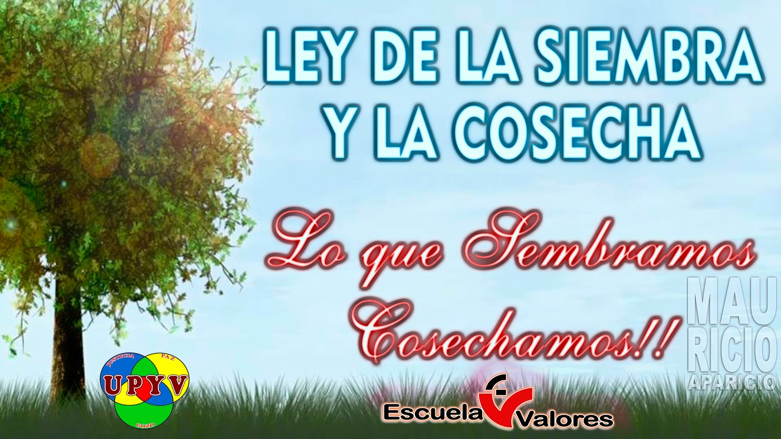 Escuela de Valores: LA SIEMBRA Y LA COSECHA