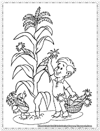 Corn coloring pages