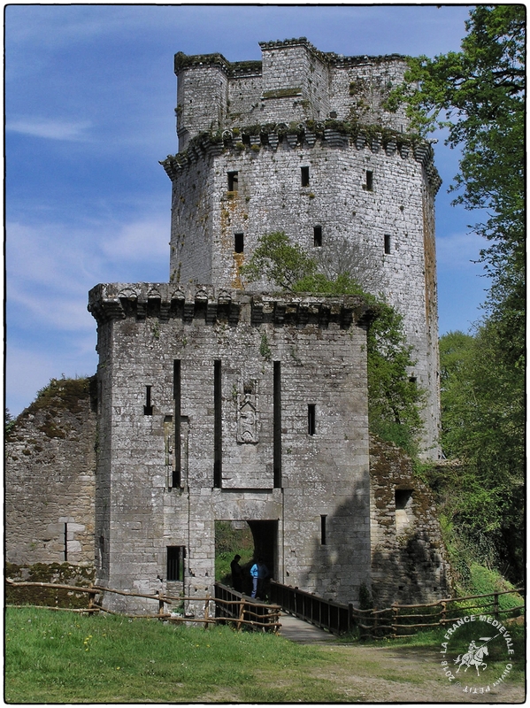 LA FRANCE MEDIEVALE: ELVEN (56) - Château-fort de Largoët : Ensemble et ...