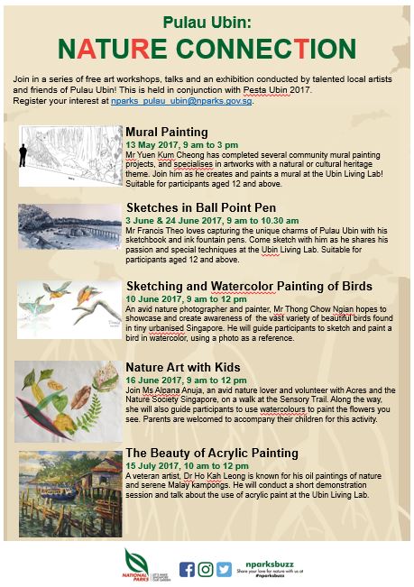 wild happenings in singapore: May-July: nAtuRe connecTion at Pulau Ubin
