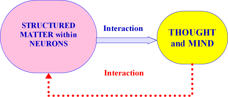 NeuroElectroDynamics: Cognition and Consciousness