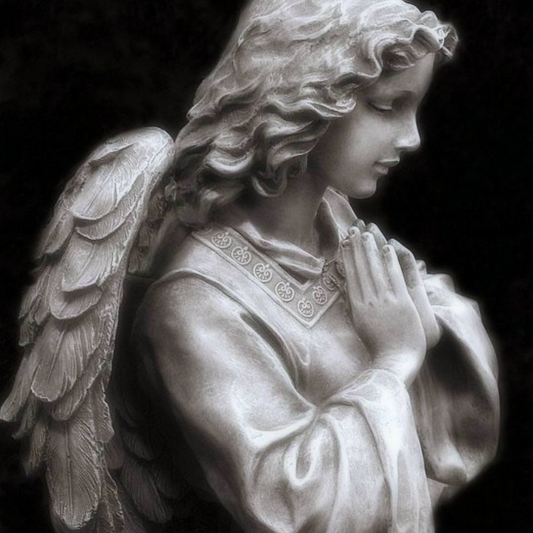 Santa María Destello Celestial: 8 de diciembre:Solemnidad de la ...