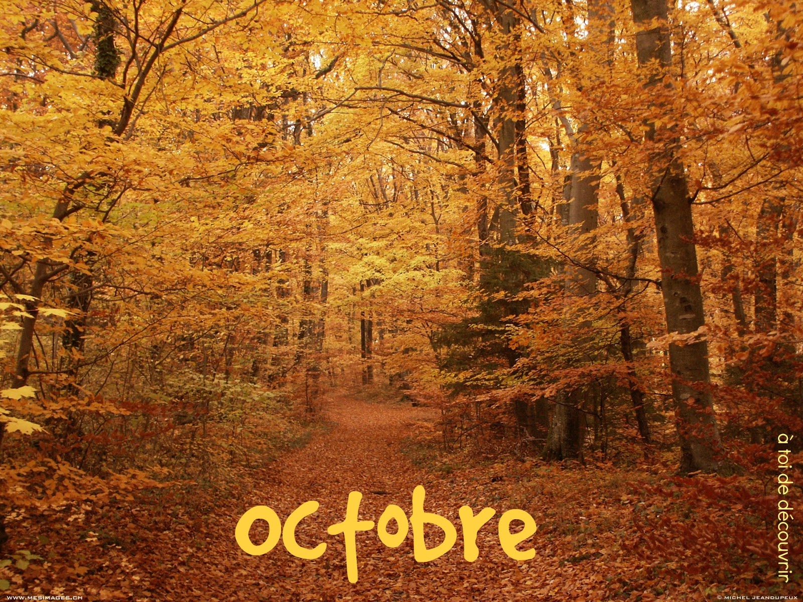 Octobre est là