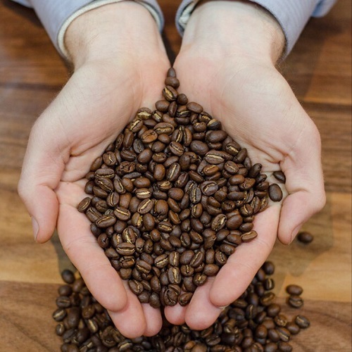 Café (Coffea spp.) - Frutas del mundo